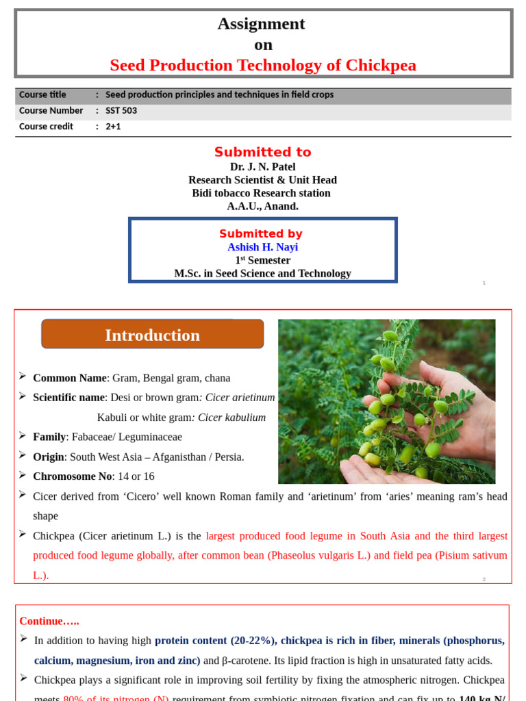 Chickpea Seed Production | PDF | Chickpea | Sowing