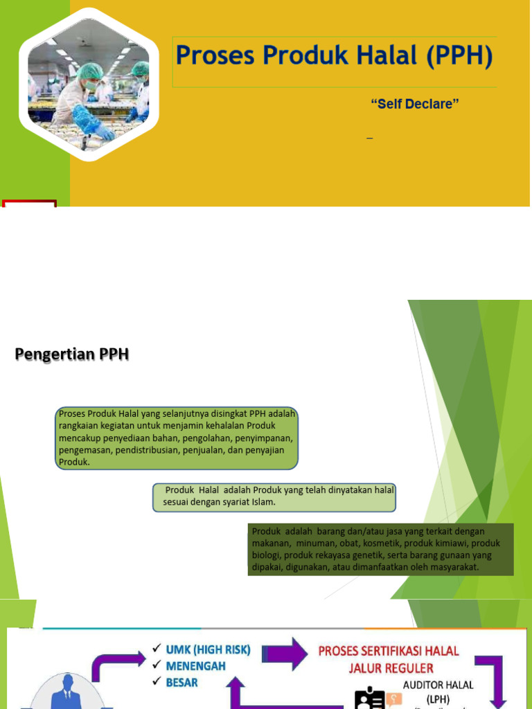 Proses Jaminan Produk Halal UMK | PDF