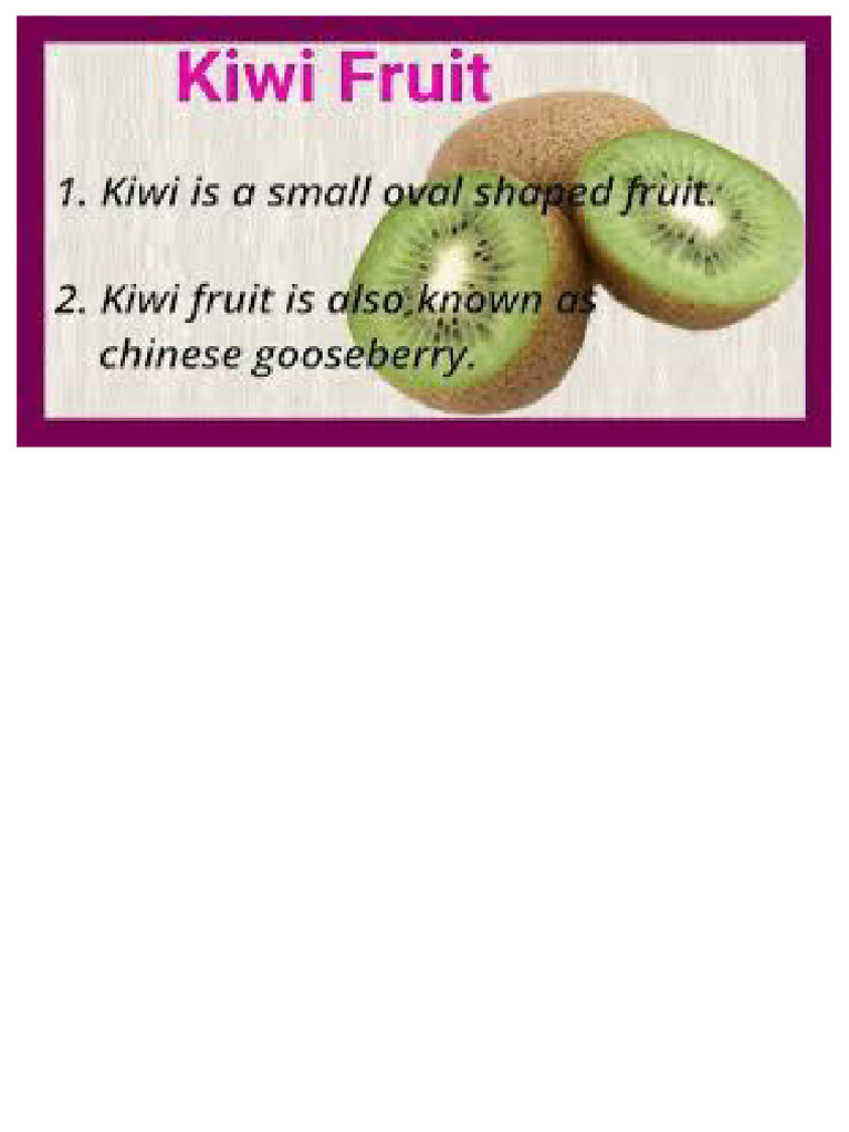 Essay On Kiwi | PDF