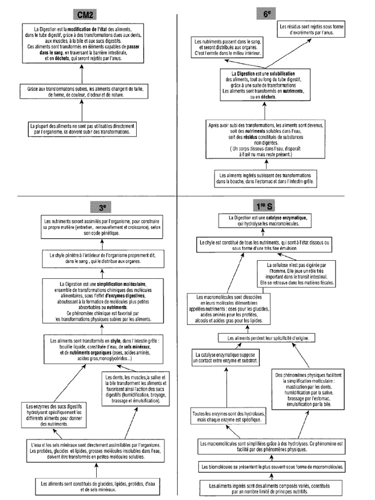 Trame Conceptuelle | PDF