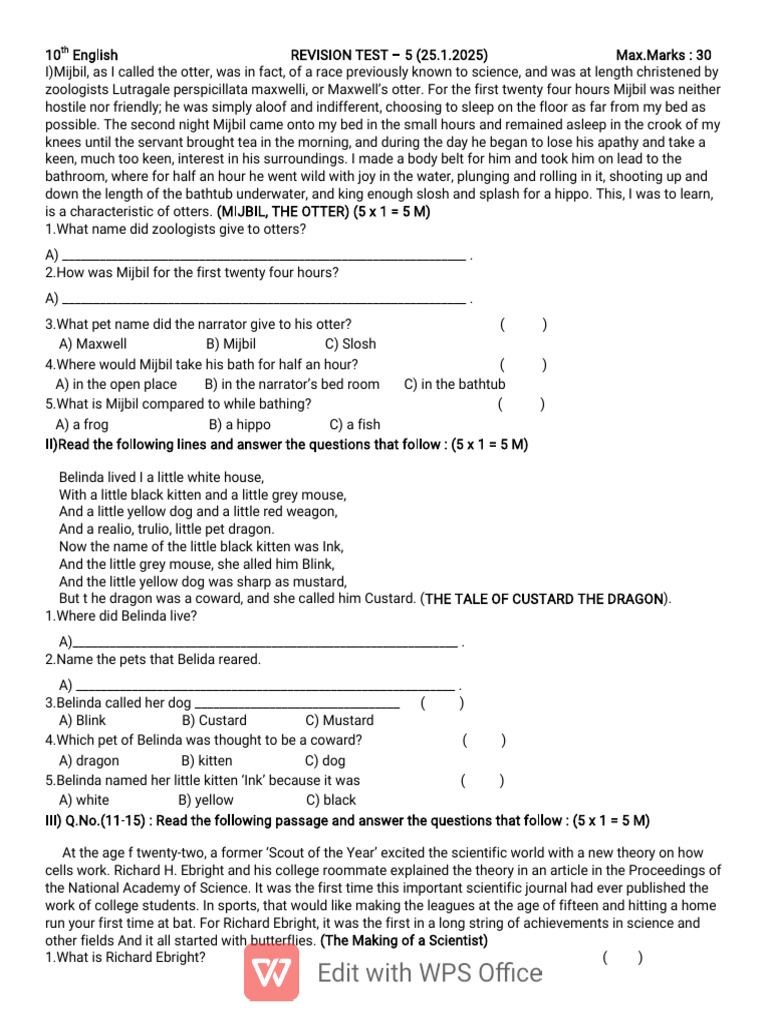 10th English Revision Test on Literature | PDF