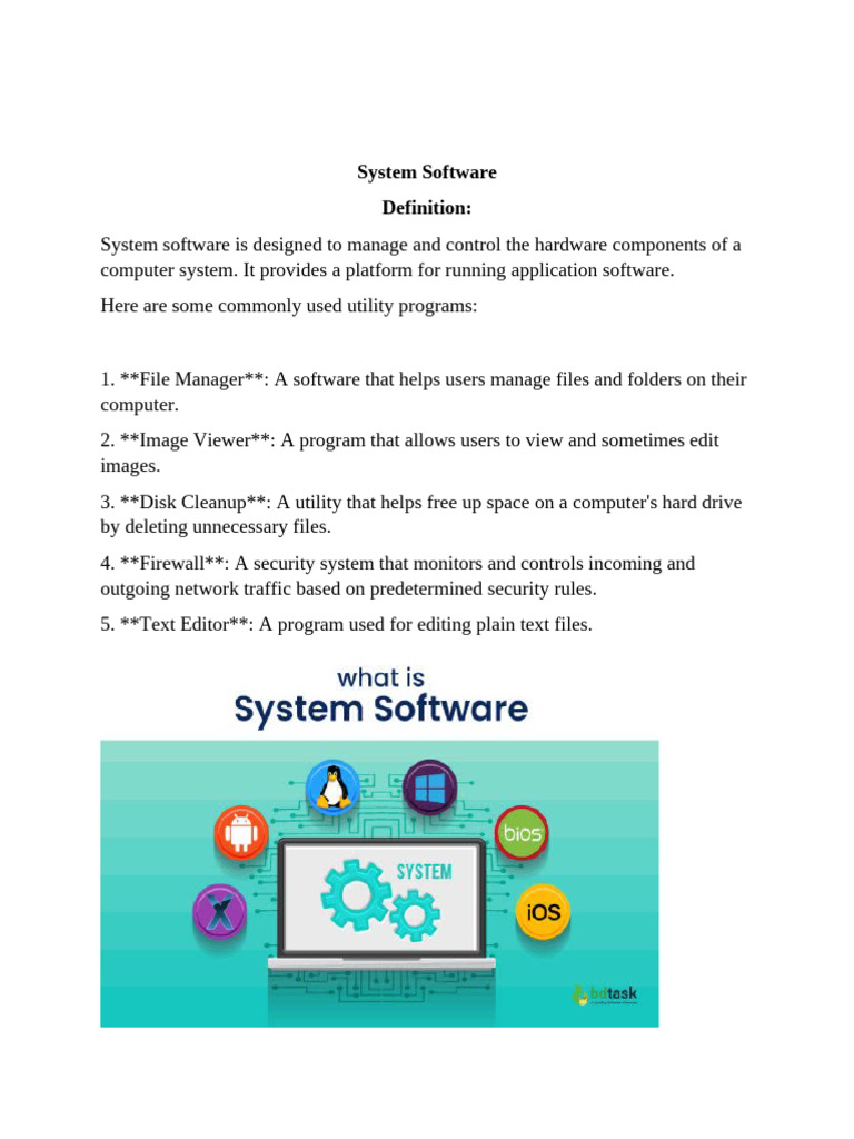 System Software and Application Software Class VIII | PDF