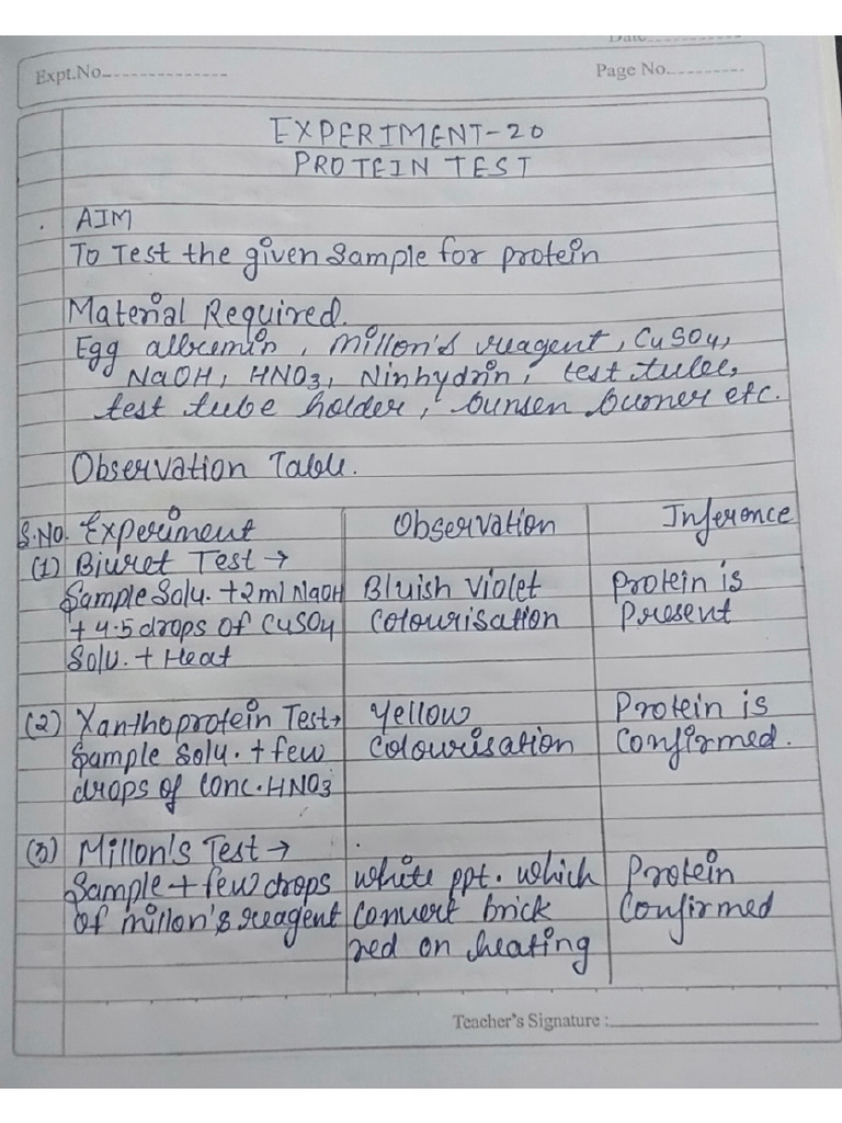 Protein Test Class 12 | PDF