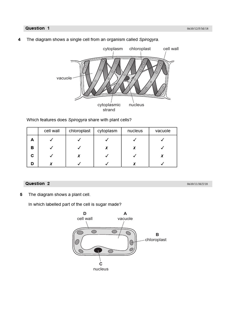 3 - Cell Structure and Organization | PDF | Cell (Biology) | Vacuole