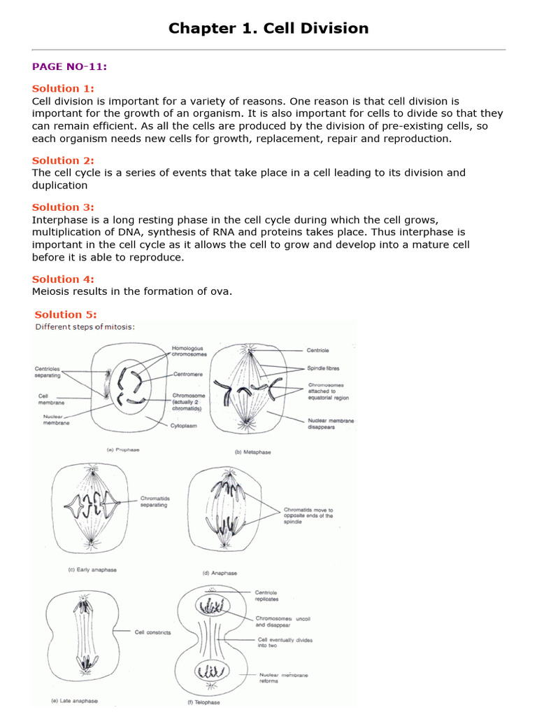 Class X Biology | PDF | Meiosis | Mitosis