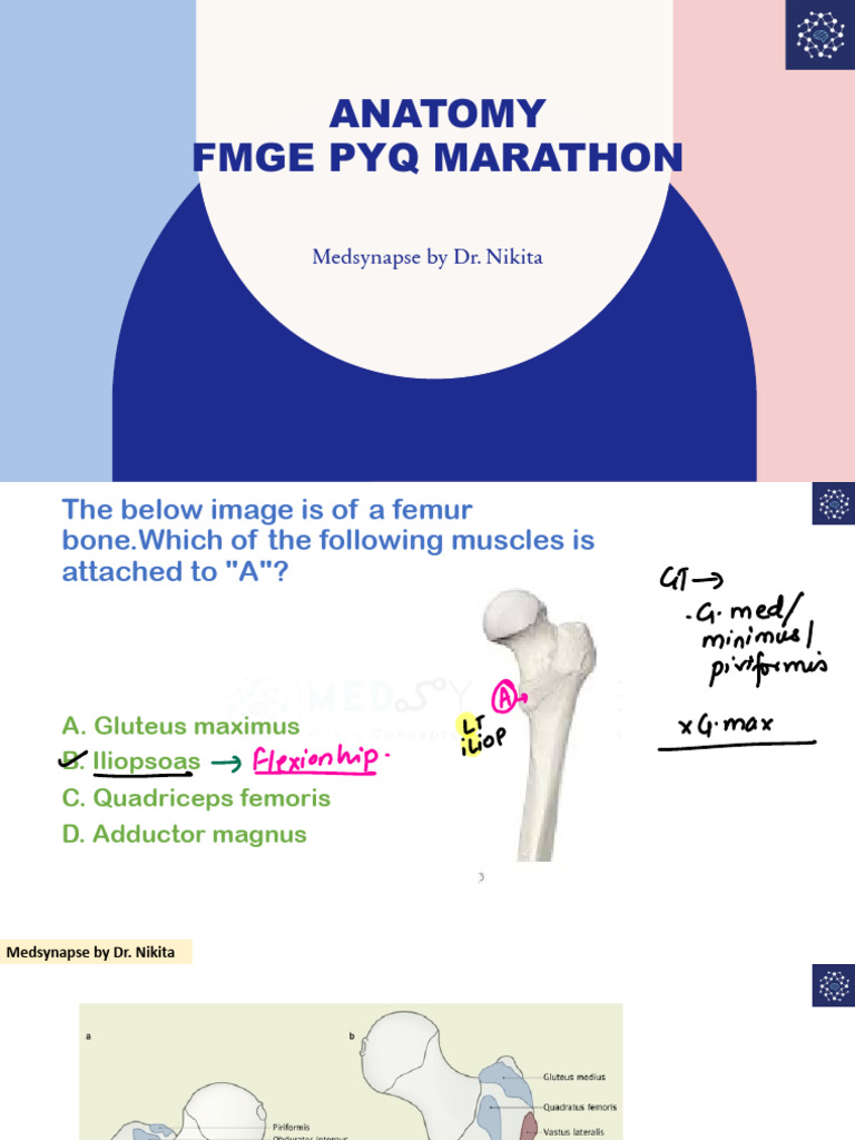 Anatomy Fmge Pyq Marathon: Medsynapse by Dr. Nikita | PDF | Esophagus ...
