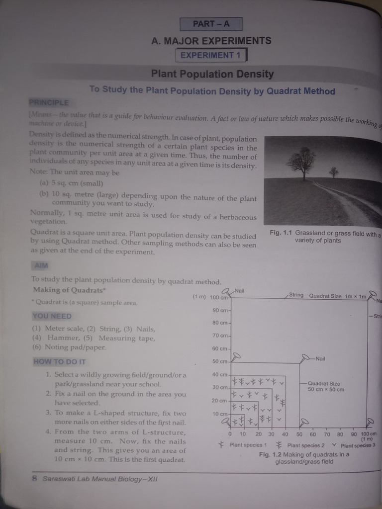 Biology lab manual | PDF