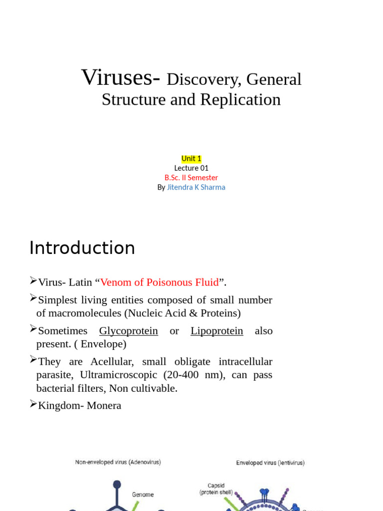 Virus Discovery and Structure Overview | PDF | Virus | Cell (Biology)