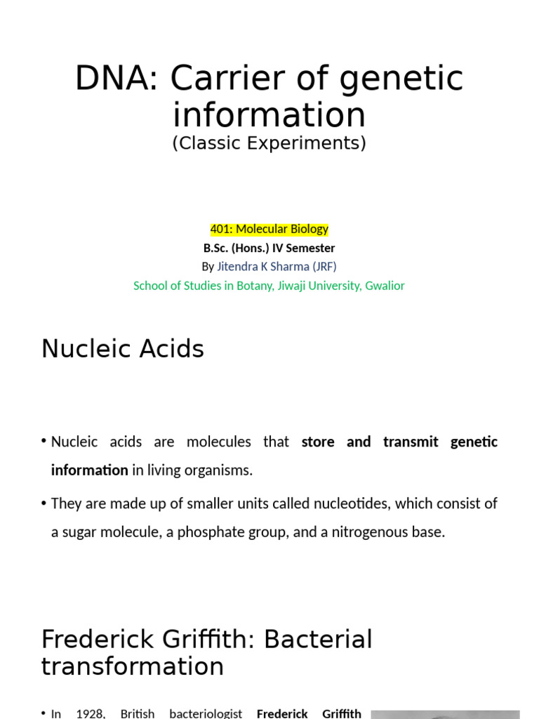 DNA as carrier of genetic information | PDF | Dna | Nucleotides