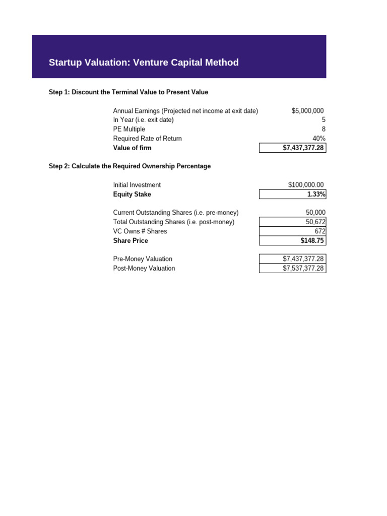 Venture Capital Valuation Guide | PDF
