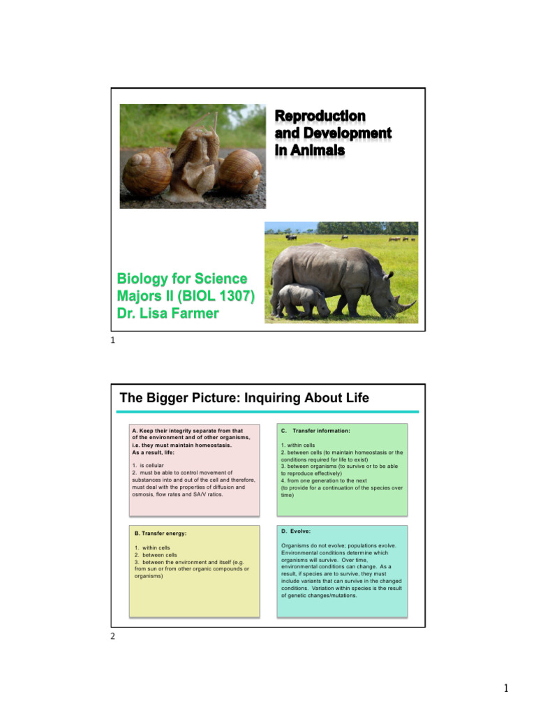 Lecture 1 - Reproduction in Animals-1 | PDF | Fertilisation | Embryo