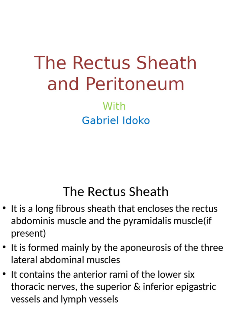 Anatomy of the Rectus Sheath & Peritoneum | PDF | Peritoneum | Abdomen