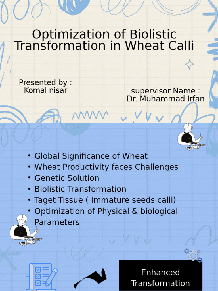 Optimization of Biolistic Transformation in Wheat Calli | PDF