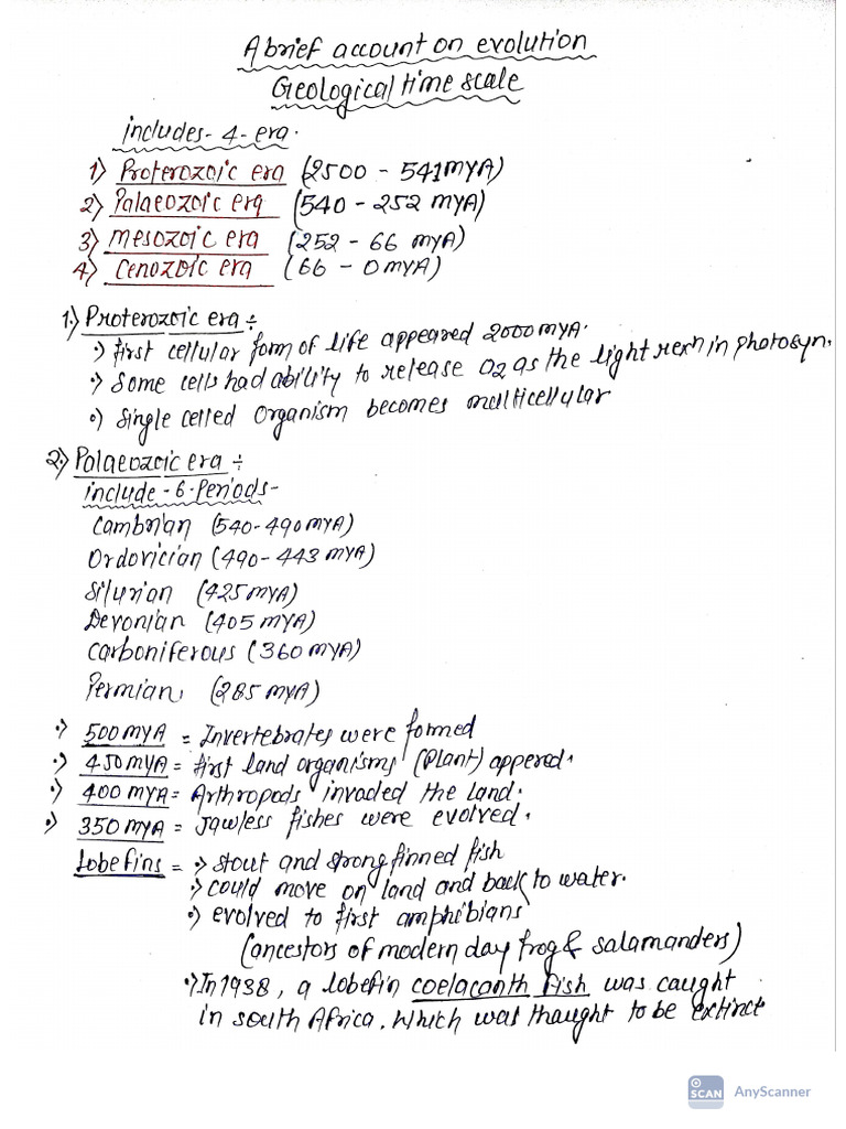 Geological Time Scale | PDF