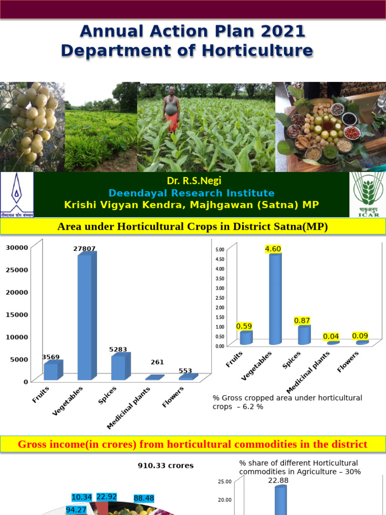Annual Action Plan (Horticulture) 2021 | PDF | Agriculture | Fertilizer