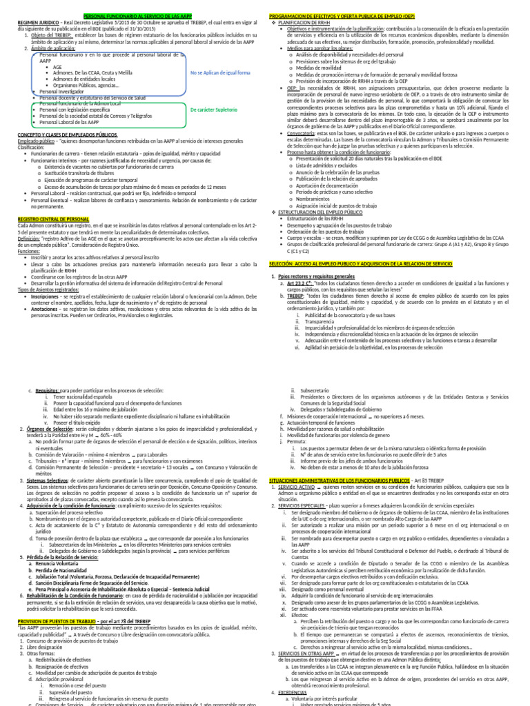 Esquema Tema 13 Personal Funcionario Al Servicio de Las Aapp | PDF | Gobierno | Gobernancia