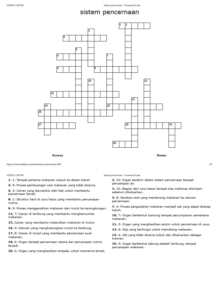 Sistem Pencernaan | PDF