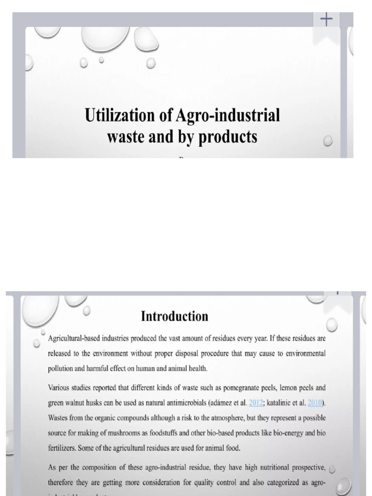 Agro Industrial Waste Utilization Presentation11 | PDF