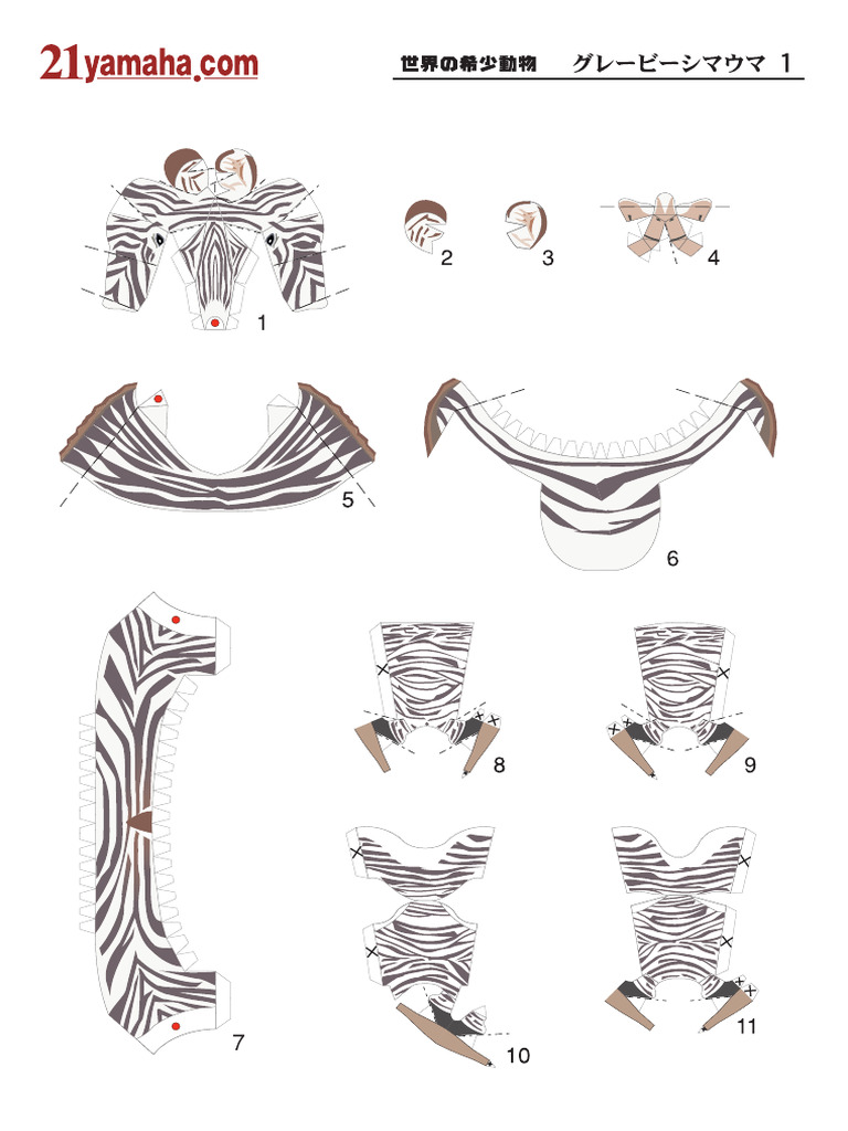 Zebra | PDF