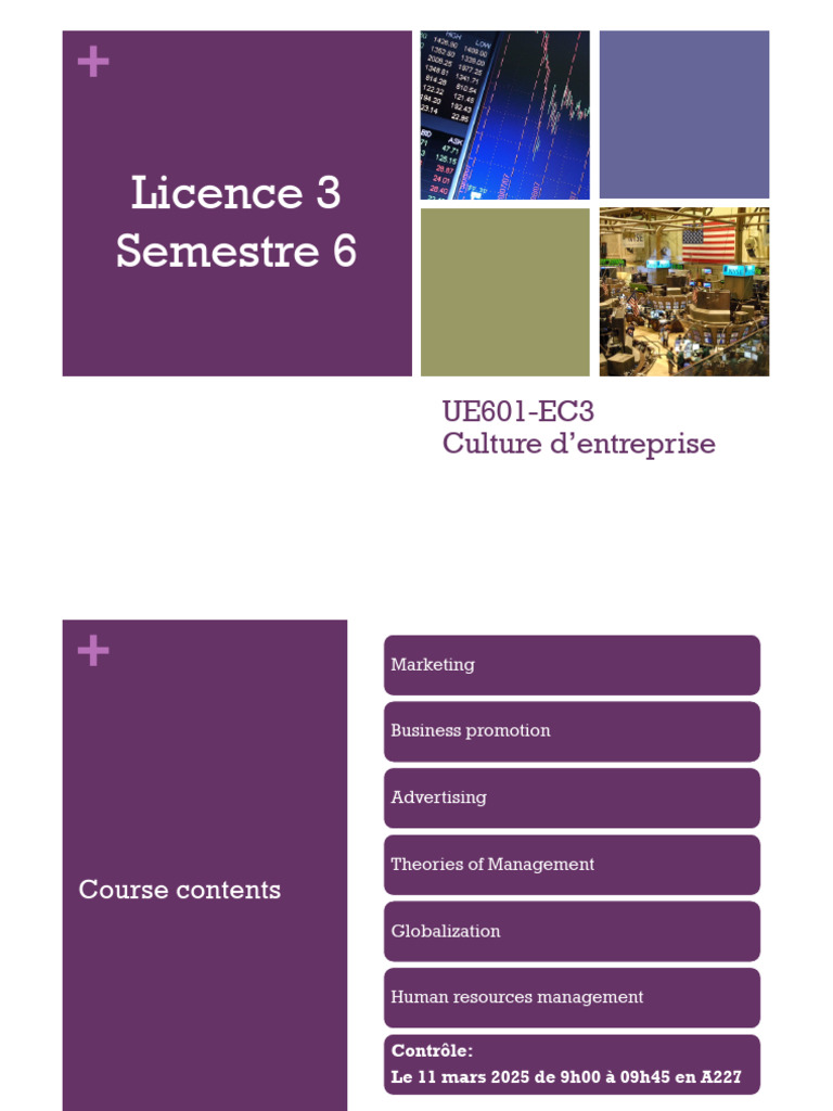 Slides Culture Dentreprise S6 | PDF | Marketing | Market Segmentation