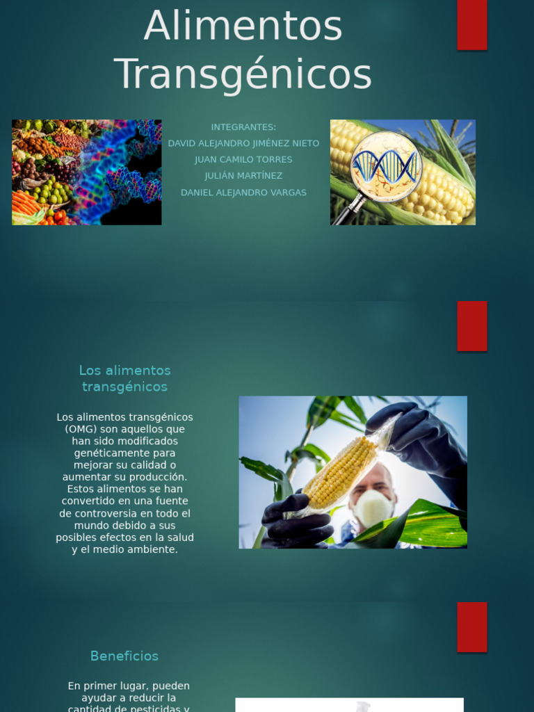 Alimentos Transgénicos 10-1 | PDF | Comida genéticamente modificada ...
