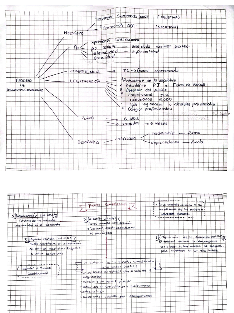 Mapa Conceptual de Derecho Procesal Constitucional | PDF