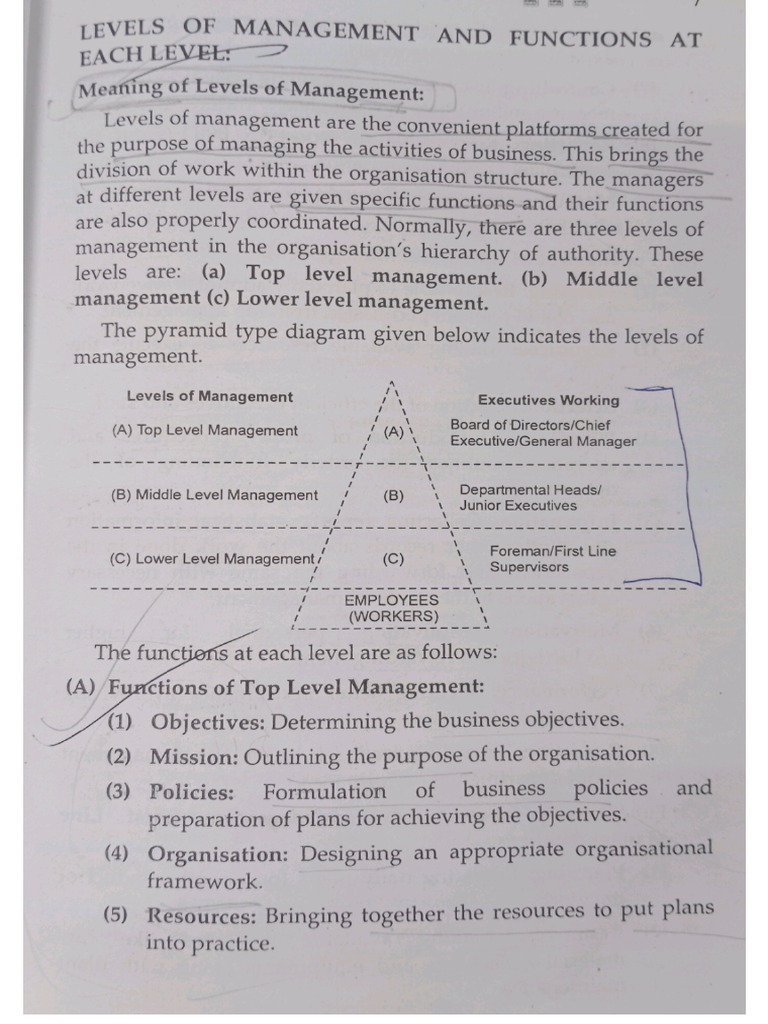 Levels of Management | PDF