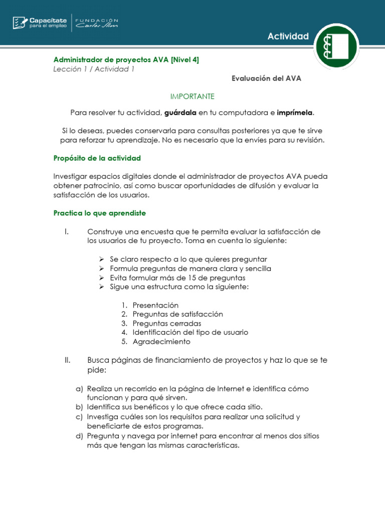Evaluación Del AVA | PDF