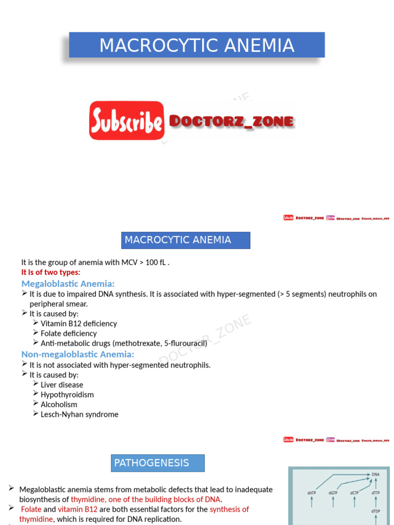 MACROCYTIC ANEMIA | PDF | Vitamin B12 | Anemia