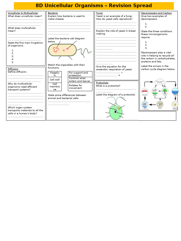Unicellular and Multicellular Overview | PDF | Organisms | Microorganism
