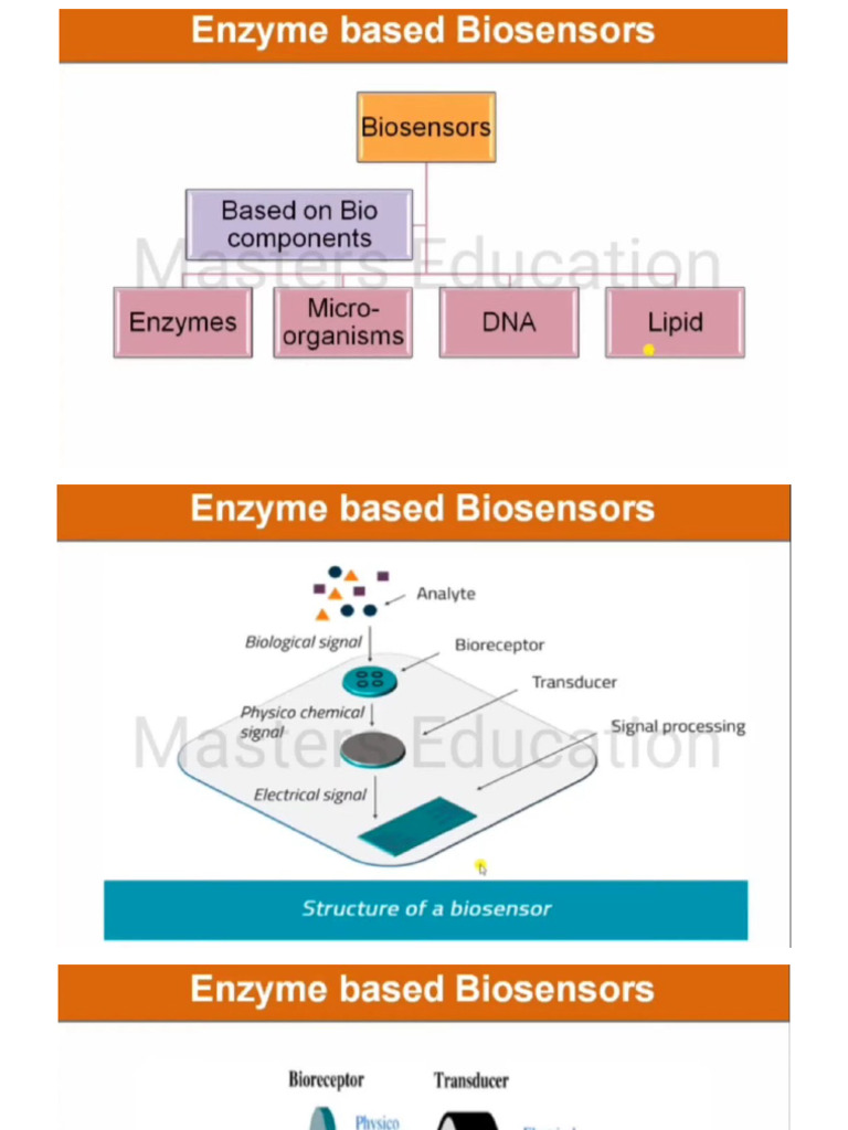Enzyme As Biosensors | PDF