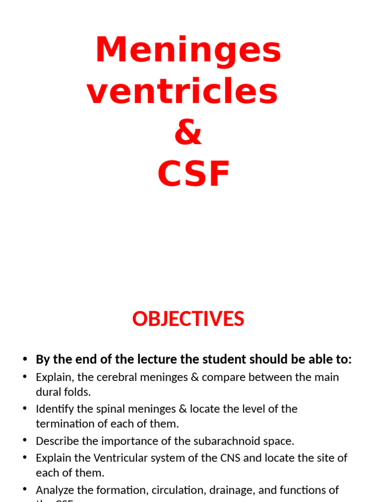 19 - Meninges Ventricles & CSF | PDF | Cerebrospinal Fluid | Central ...