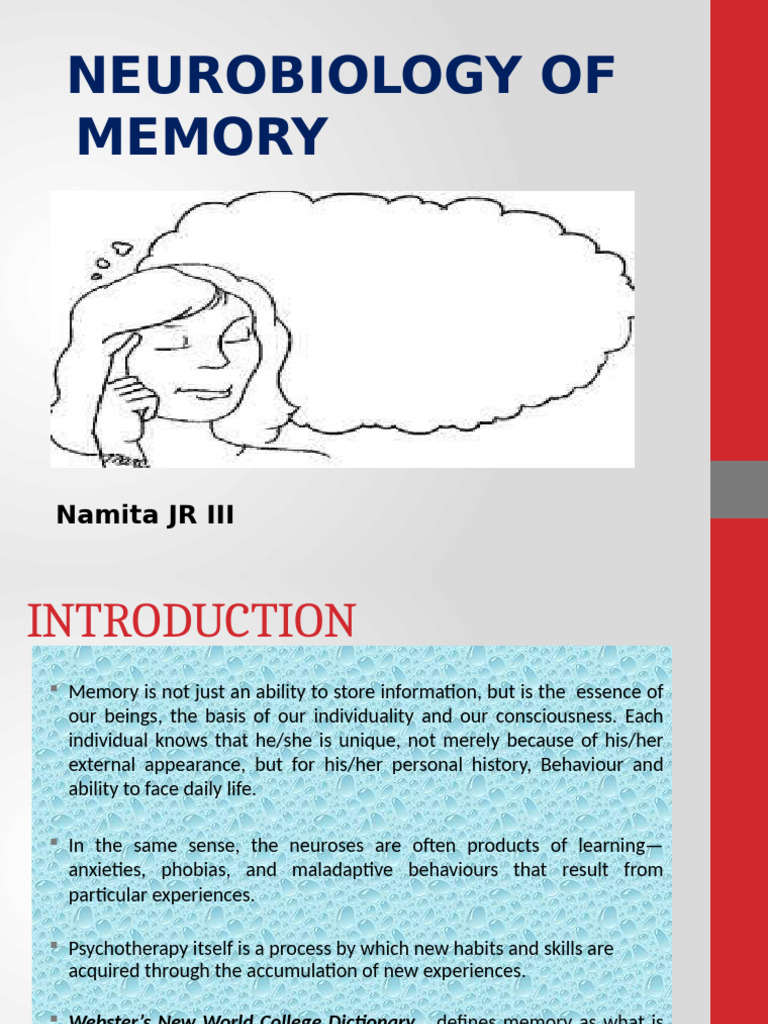 neurobiology of memory 2 | PDF | Long Term Potentiation | Chemical Synapse