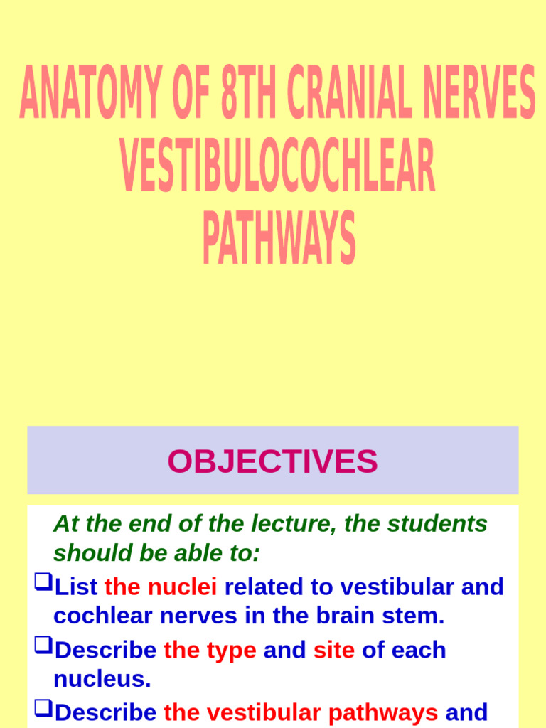 Auditory and Vestibular Pathways Explained | PDF | Auditory System ...