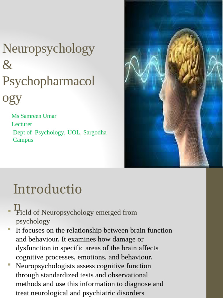 Neuropsychology: Brain-Behavior Link | PDF | Neuropsychology | Psychology