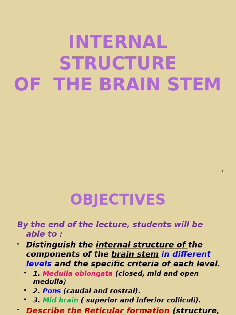 7-Internal Structures of Brainstem | PDF | Brainstem | Spinal Cord