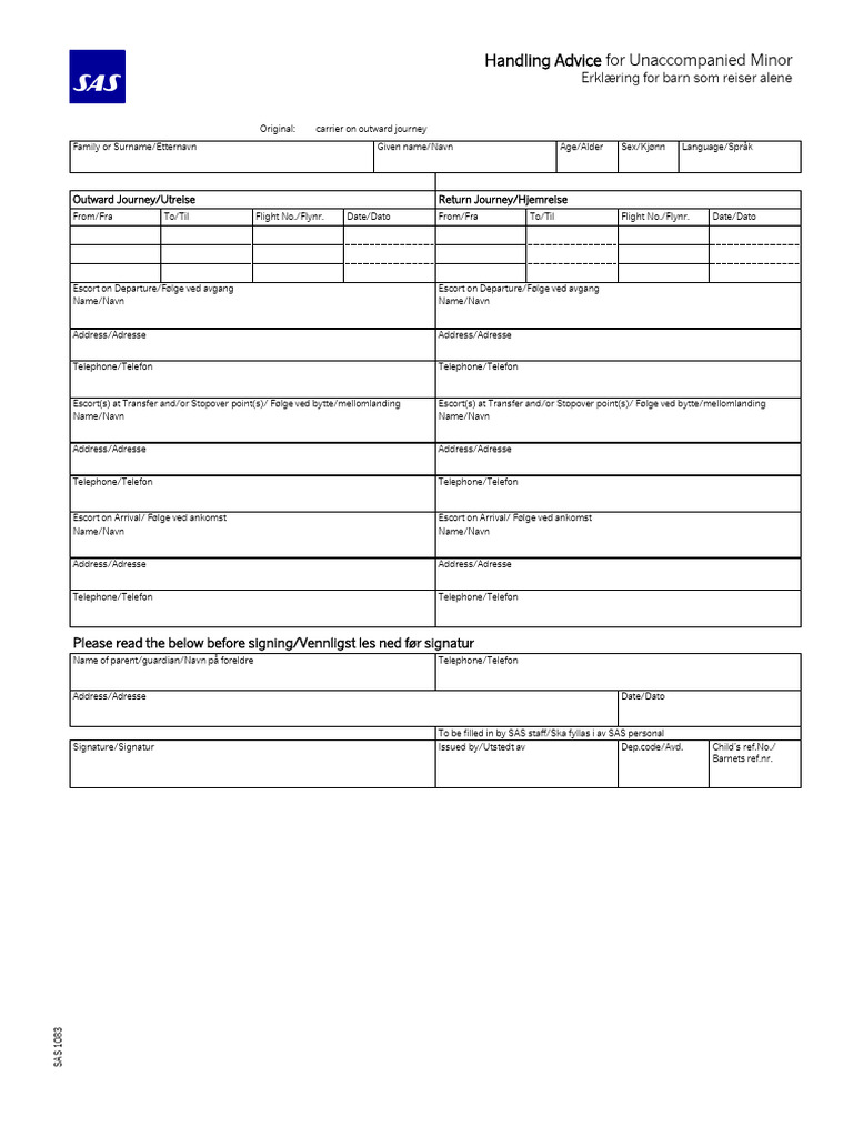 Handling Advice Unaccompanied Minor | PDF
