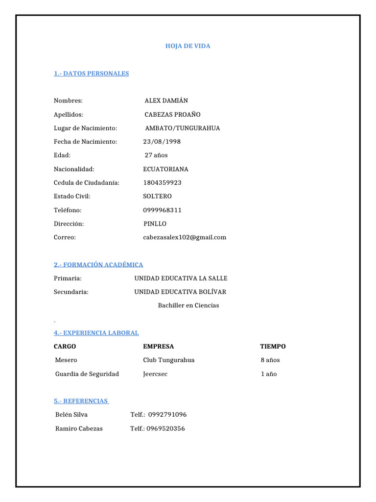 HOJA de VIDA Mayra Collay | PDF