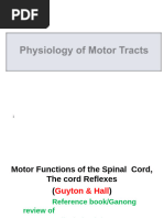 Askling L-Protocol for Hamstring Rehab | PDF | Electromyography ...
