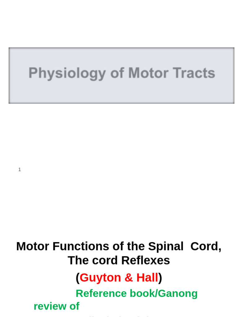 4- Motor Tracts | PDF | Motor Neuron | Spinal Cord