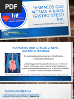 Prospecto DIGERIL | PDF