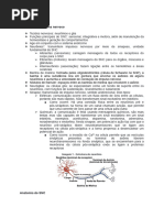 Disdiadococinesia: Definição e Teste | PDF