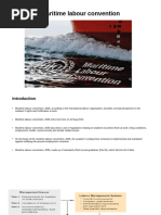 Guidance On DMLC Part II - Updated 13.07.2021 | PDF