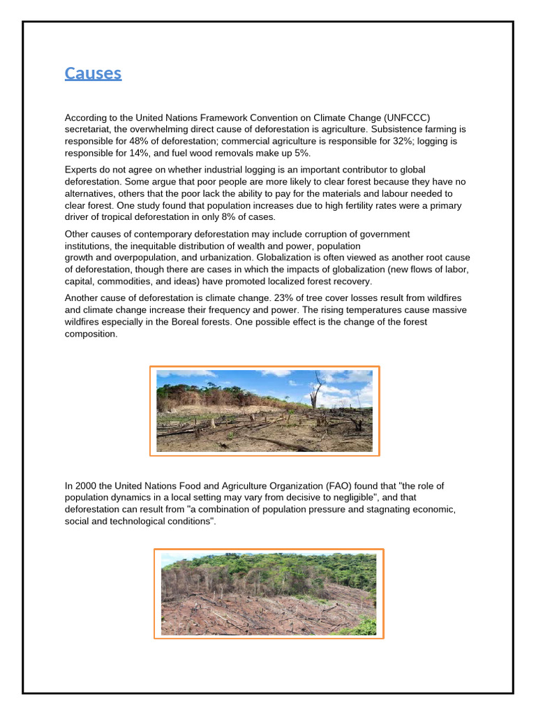 Causes deforestation | PDF | Deforestation | Forests