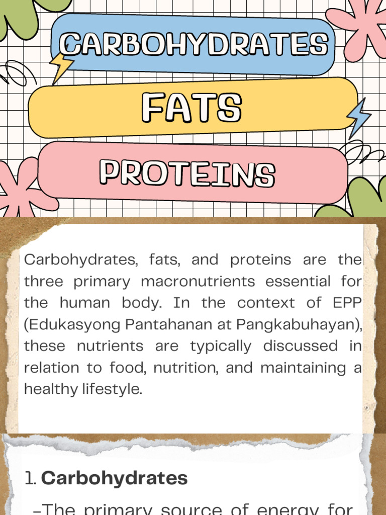 Carbohydrates, Fat, and Proteins (Group 1) | PDF