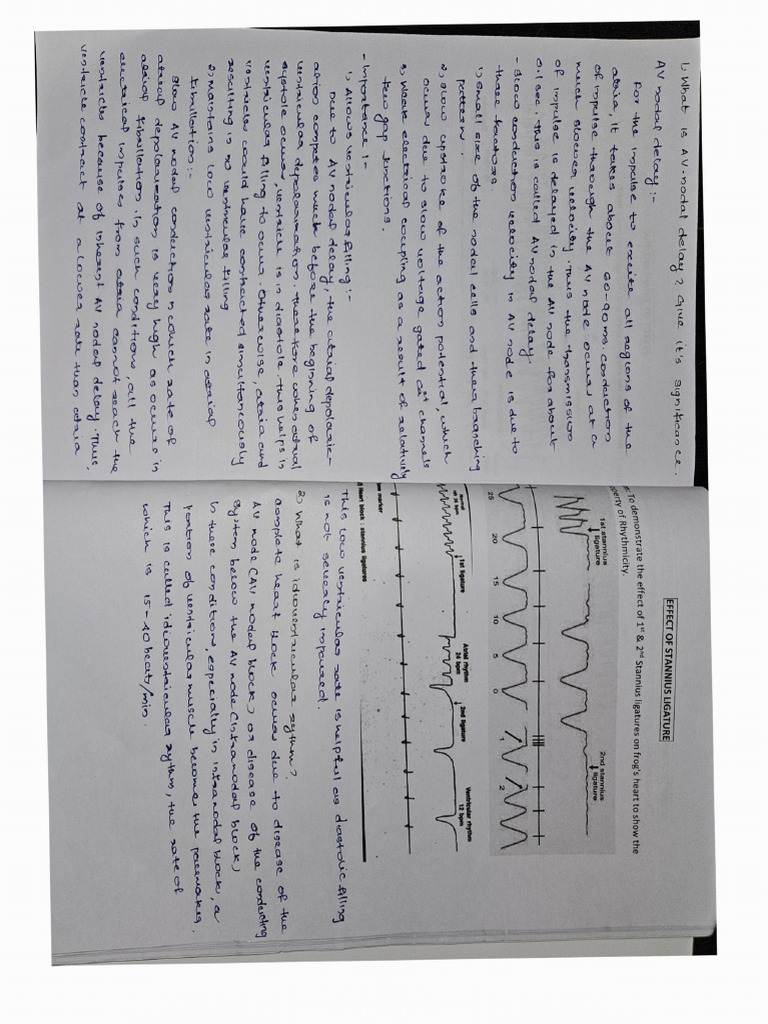 Stannius Ligature | PDF