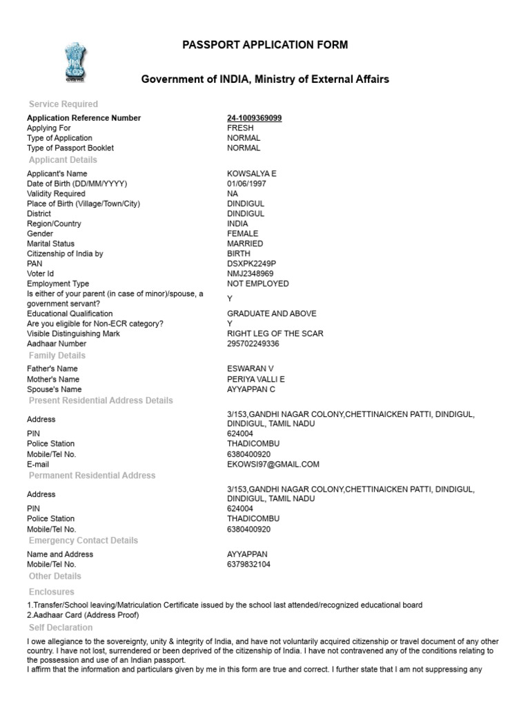Application Form | PDF | Passport | International Law