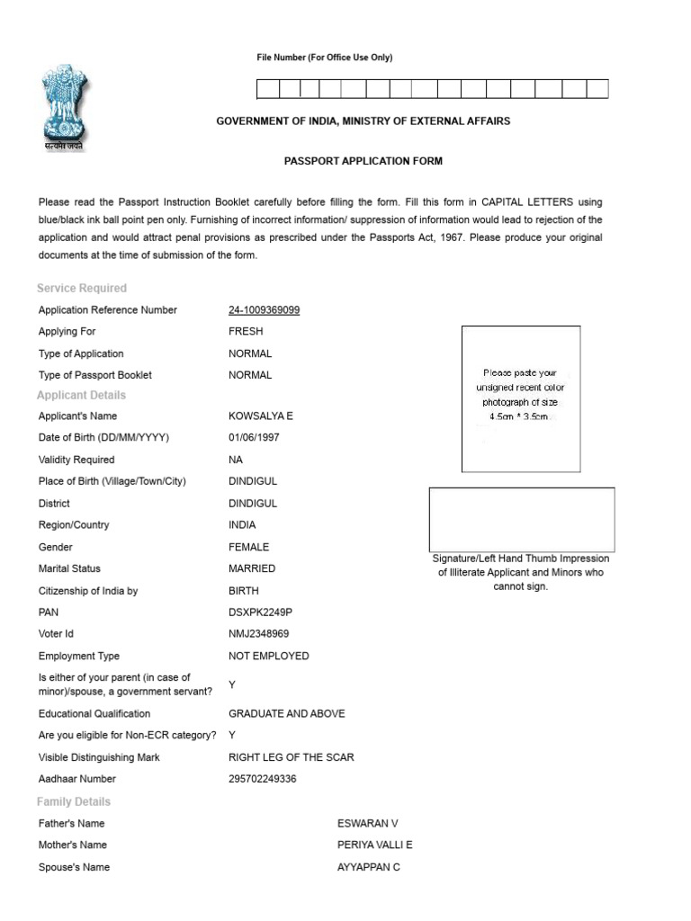 View - Print Submitted Form | PDF | Passport | International Law
