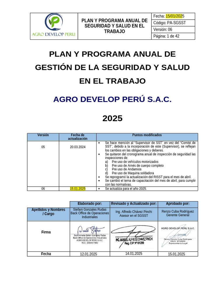 Plan y Programa Anual de SGSST 2025 | PDF | Seguridad y salud ocupacional | Valores