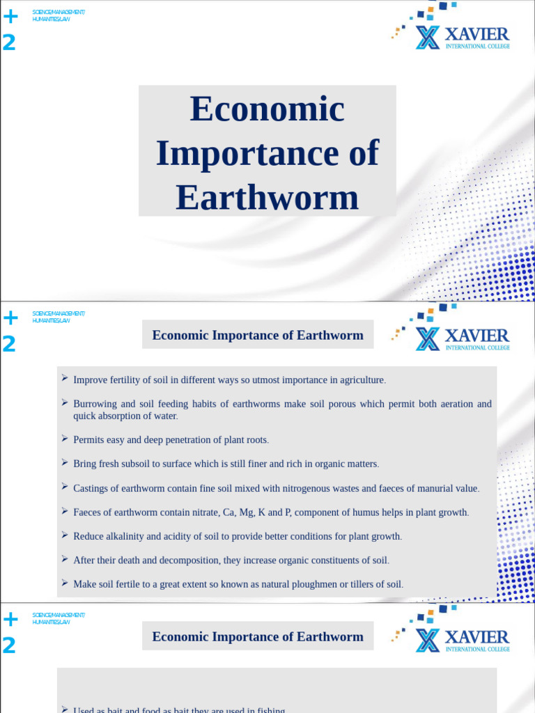 Economic Significance of Earthworms | PDF
